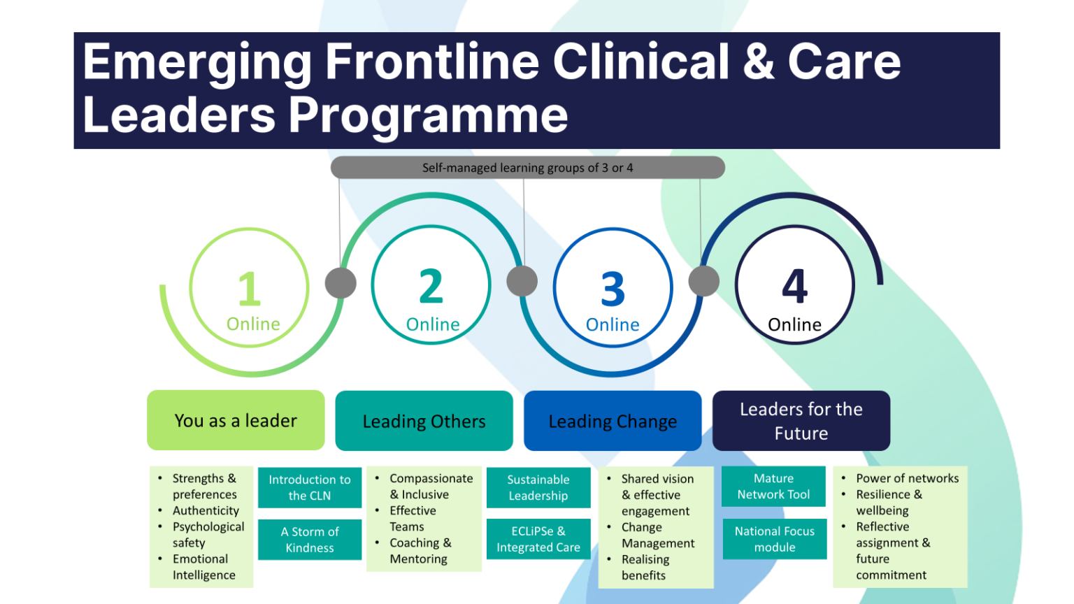 Emerging Frontline Clinical & Care Leaders Programme - NHS Clinical ...