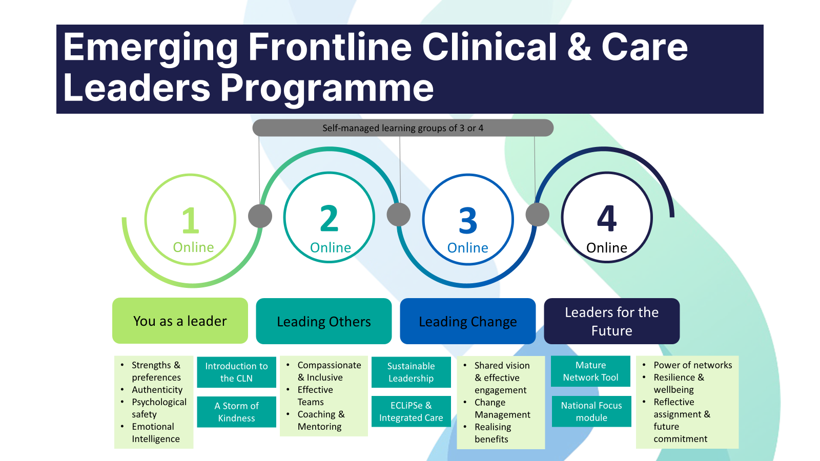 Emerging Frontline Clinical & Care Leaders Programme - NHS Clinical ...
